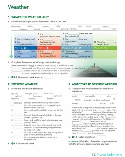 Weather vocabulary free online. Interactive worksheet | TopWorksheets