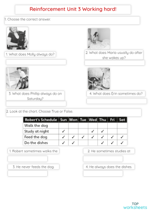 Reinforcement Unit 3 Working hard!. Interactive worksheet | TopWorksheets