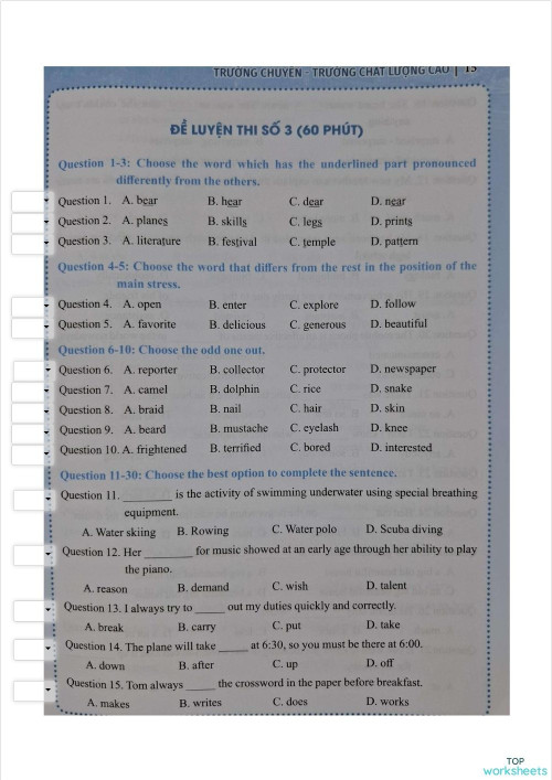 Interactive worksheets and online exercises free creator | TopWorksheets