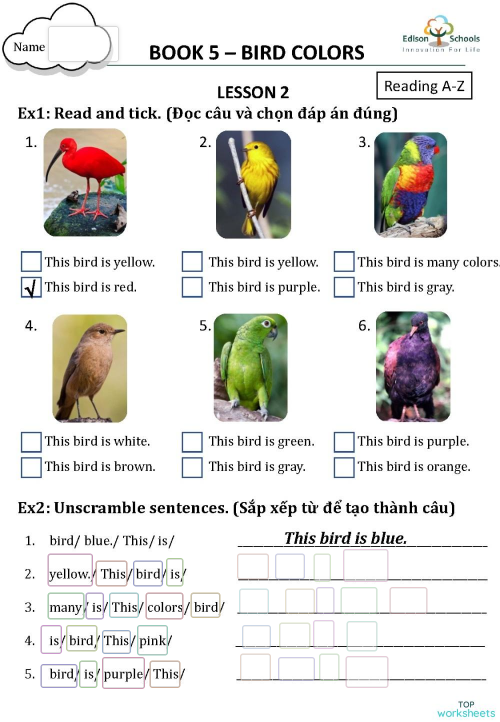 GRADE 1 - RAZKIDS - BIRD COLORS. Interactive worksheet | TopWorksheets