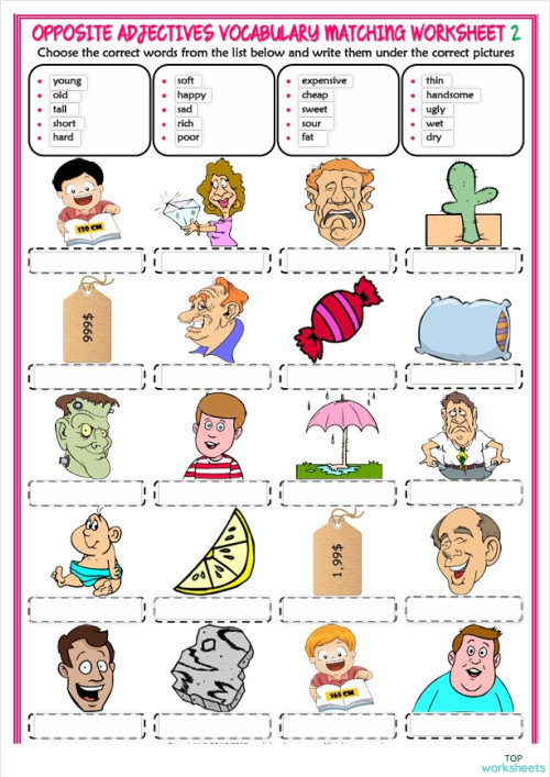 Adjectives 1. Interactive worksheet | TopWorksheets