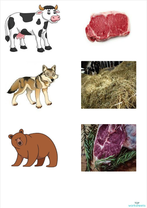 Relaciona cada animal con su alimentación. Ficha interactiva | TopWorksheets