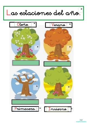 Ficha De Actividad Las Estaciones En El Rbol Twinkl