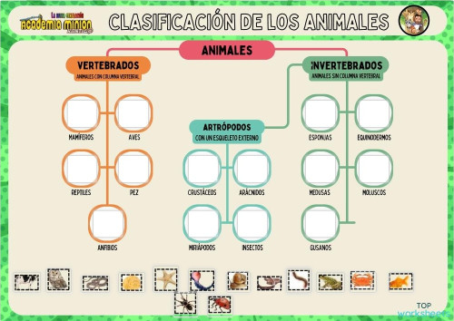CLASIFICACIÓN DE VERTEBRADOS E INVERTENBRADOS. Ficha interactiva ...