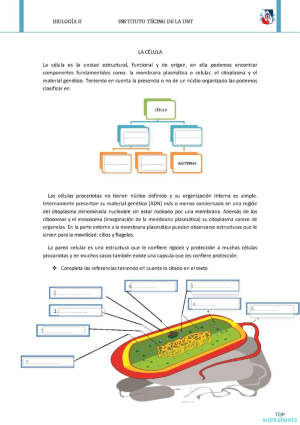 célula. Ficha interactiva | TopWorksheets
