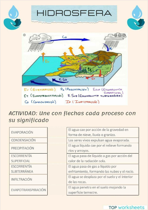 Hidrosfera: fichas interactivas y ejercicios online | TopWorksheets