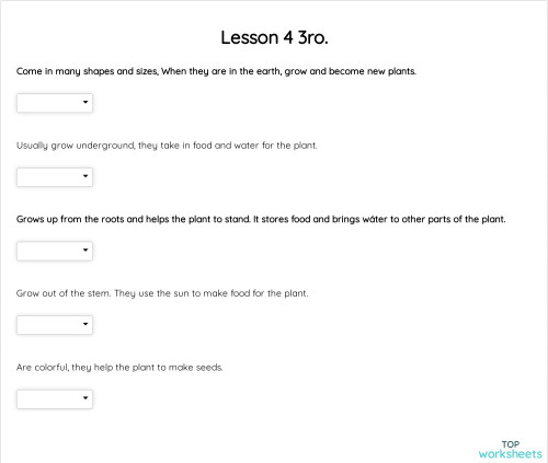 Lesson 4 3ro.. Ficha interactiva | TopWorksheets