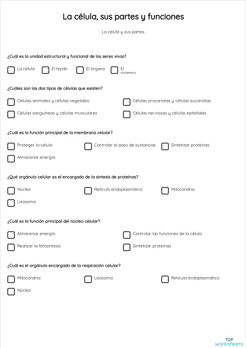 La célula, sus partes y funciones. Ficha interactiva | TopWorksheets