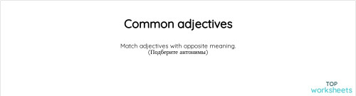 Common adjectives. Interactive worksheet | TopWorksheets