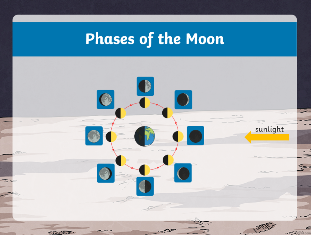 Earth - Grade 2 Science. Interactive worksheet | TopWorksheets