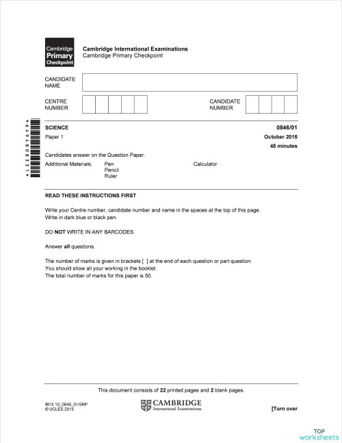 Unit 1 Dictation 1 Interactive Worksheet Topworksheets