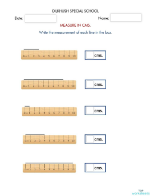 MEASURE IN CMS.. Interactive worksheet | TopWorksheets