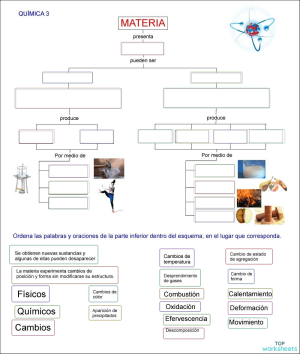Hoja De Trabajo Sobre Cambios En La Materia
