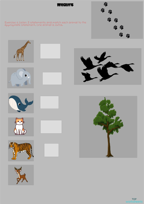 wildlife for 3 grade. Interactive worksheet | TopWorksheets