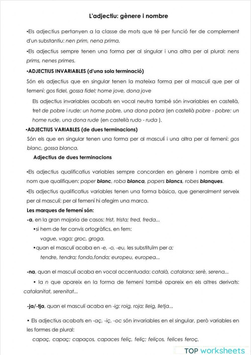 Adjectius variables i invariables. Fitxa interactiva | TopWorksheets