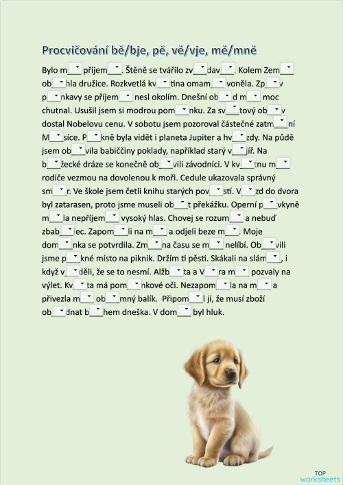 Čeština: interaktivní pracovní listy a online cvičení | TopWorksheets