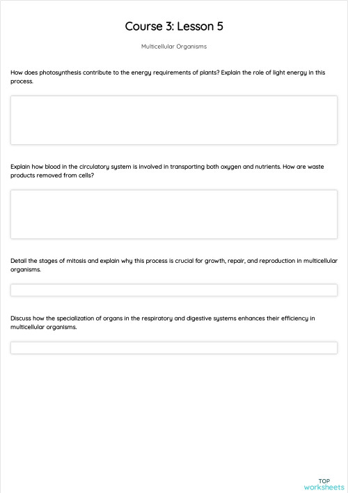 Course 3: Lesson 5. Interactive worksheet | TopWorksheets