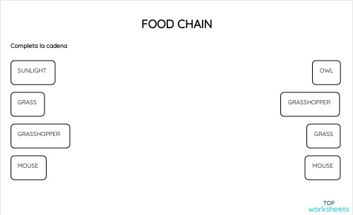 FOOD CHAIN. Ficha interactiva | TopWorksheets