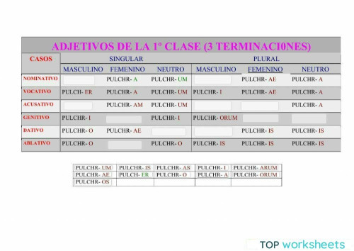Adjetivos 3 Terminaciones interactive. Ficha interactiva | TopWorksheets