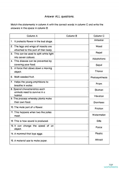 Natural Science Interactive Worksheets And Online Exercises natural-science-interactive-worksheets-and-online-exercises