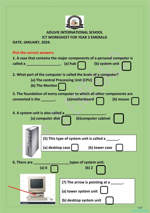 ICT WORKSHEET. Interactive worksheet | TopWorksheets