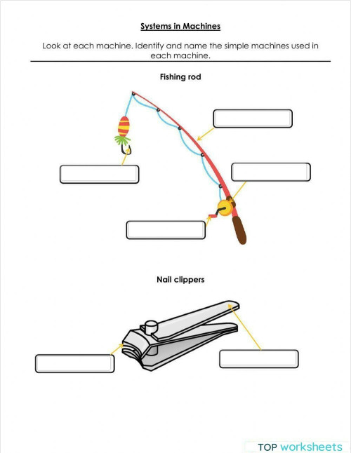 System in Machines. Interactive worksheet | TopWorksheets