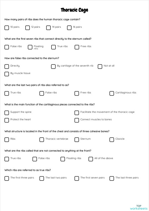 Thoracic Cage. Interactive worksheet | TopWorksheets