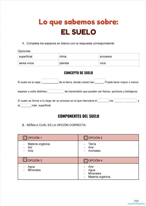 El suelo (concepto y componentes). Ficha interactiva | TopWorksheets