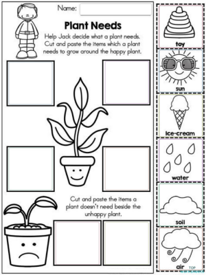 PLANTS NEEDS. Interactive worksheet | TopWorksheets
