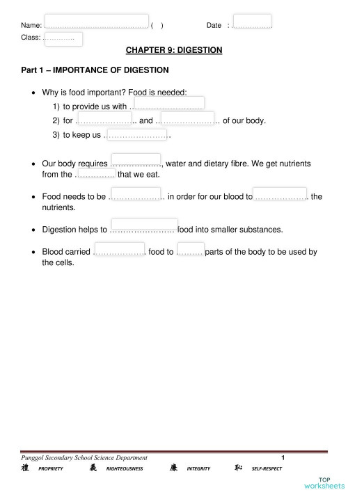 Chapter 9 Digestion Part 1. Interactive worksheet | TopWorksheets