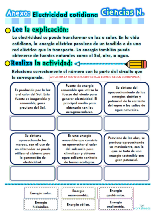 Electricidad cotidiana. Ficha interactiva | TopWorksheets