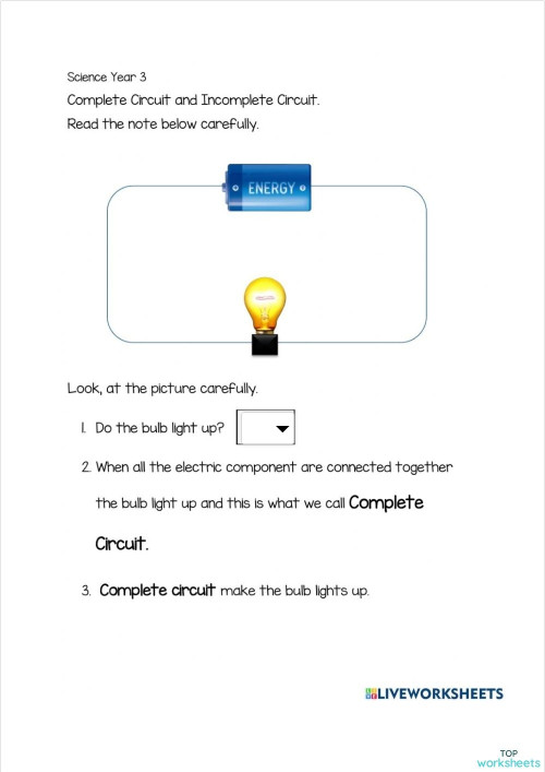 Science Revision Year 3. Interactive worksheet | TopWorksheets