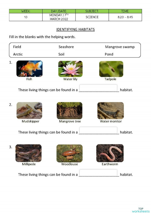 IDENTIFYING HABITATS. Interactive worksheet | TopWorksheets