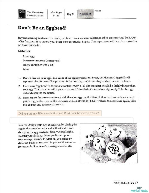Activity 23: Don't Be an Egghead Pg 87. Interactive worksheet ...