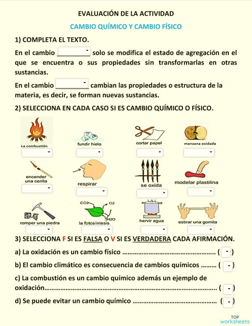 Hoja De Trabajo Sobre Cambio Físico Y Cambio Químico CAMBIOS