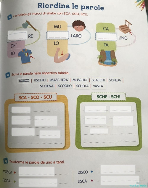 RIORDINA LE PAROLE_ SCA SCO SCU SCHI SCHE. Scheda interattiva ...