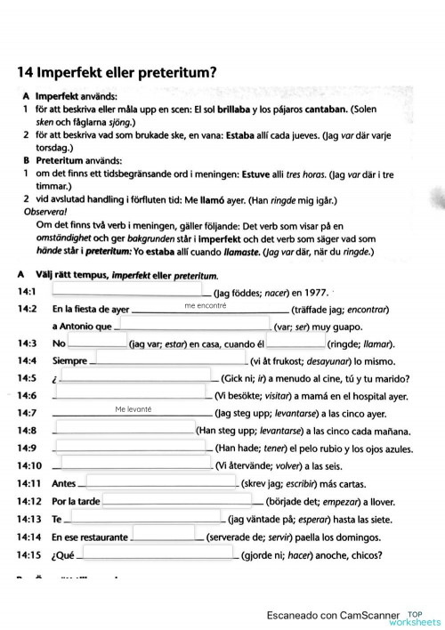 Pretérito versus Imperfecto. Ficha interactiva | TopWorksheets