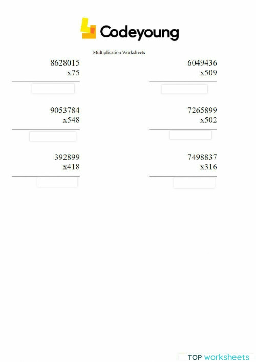 Multiplication and Division of 10-Digit Numbers Concept HW. Interactive ...