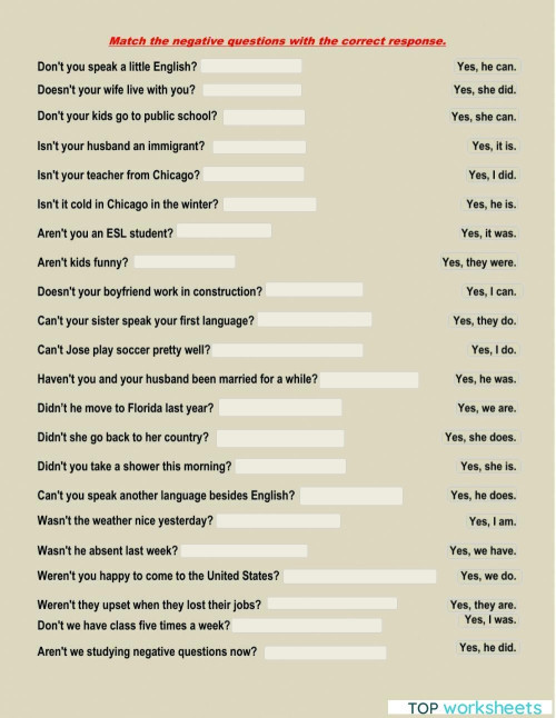 Negative Questions Drag and Drop. Interactive worksheet | TopWorksheets