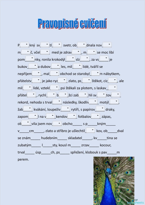 Čeština: interaktivní pracovní listy a online cvičení | TopWorksheets
