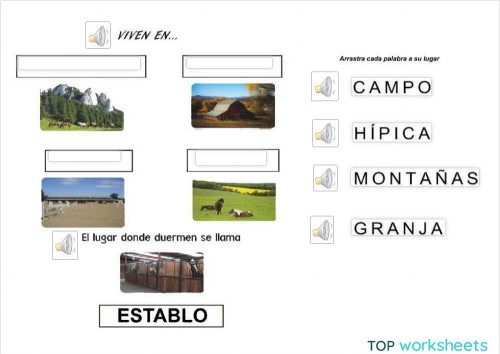Otros: fichas interactivas y ejercicios online | TopWorksheets
