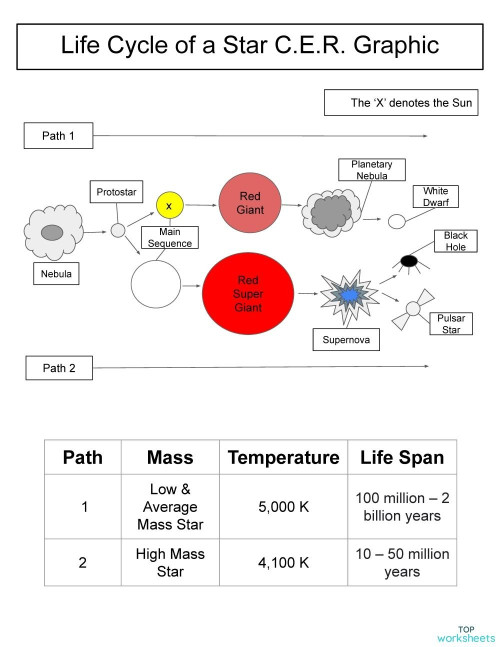 CER Life Cycle of a Star. Interactive worksheet | TopWorksheets