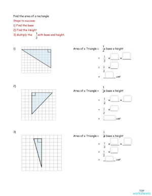 Finding area. Interactive worksheet | TopWorksheets
