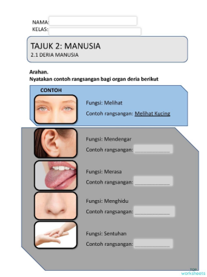 contoh rangsangan deria. Interactive worksheet | TopWorksheets