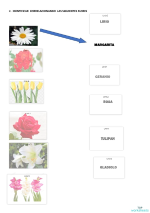 ESPECIALIDAD FLORES. Ficha interactiva | TopWorksheets