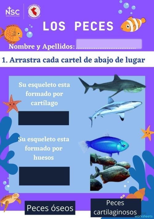DAD - Peces 1. Ficha interactiva | TopWorksheets