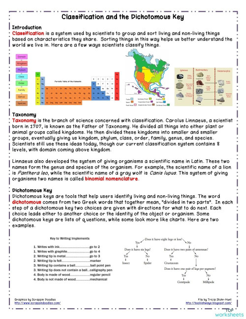 REVISION PLANT NUTRITION. Interactive worksheet | TopWorksheets