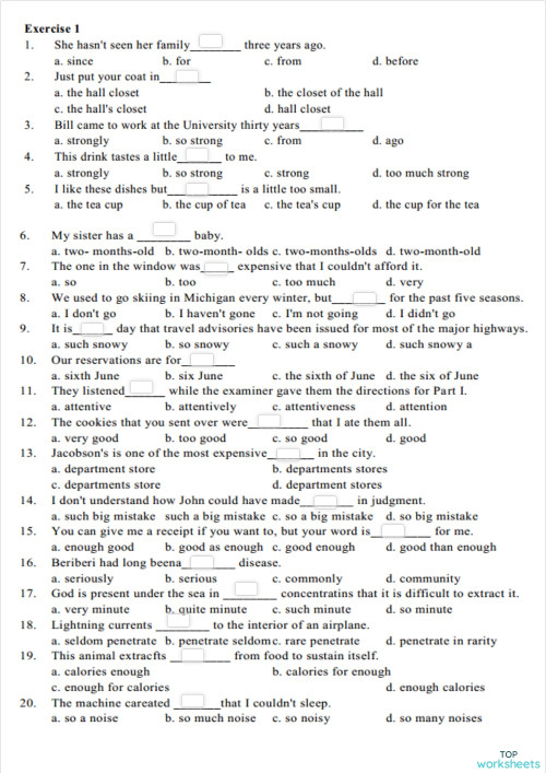 PROBLEMS WITH MODIFIERS 01. Interactive worksheet | TopWorksheets