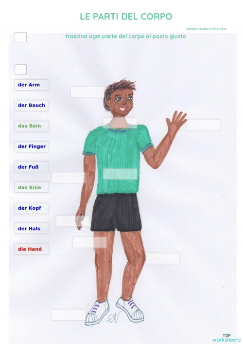 Le parti del corpo. Scheda interattiva | TopWorksheets