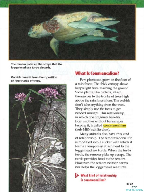 Ecosystems: interactive worksheets and online exercises | TopWorksheets